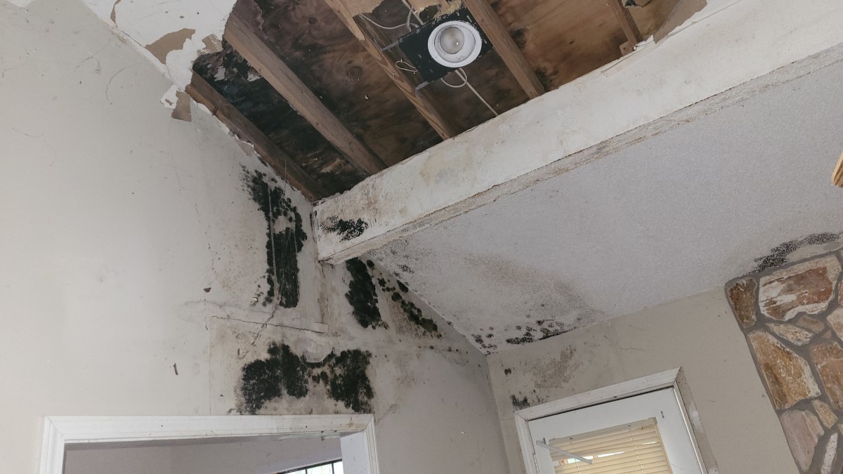 Ultimate Guide: Buy Your First Rental Property - REAdventurer